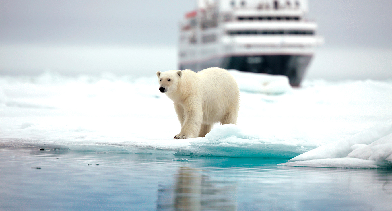 A força do Ártico - Revista Estilo Zaffari
