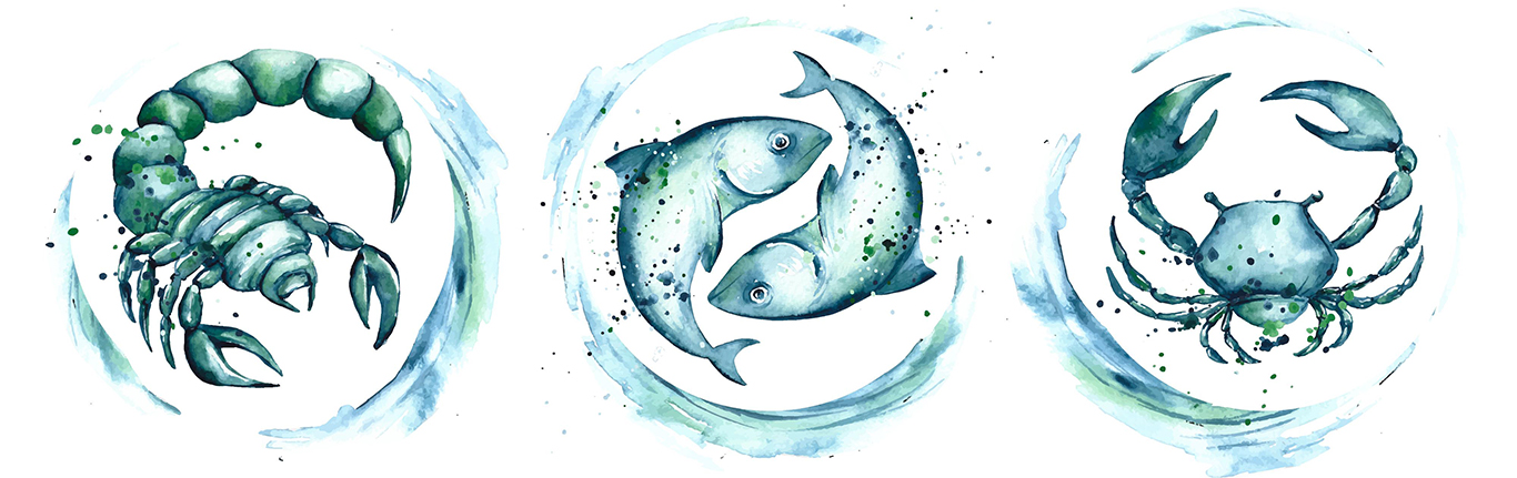 Cardápio astrológico - Revista Estilo Zaffari